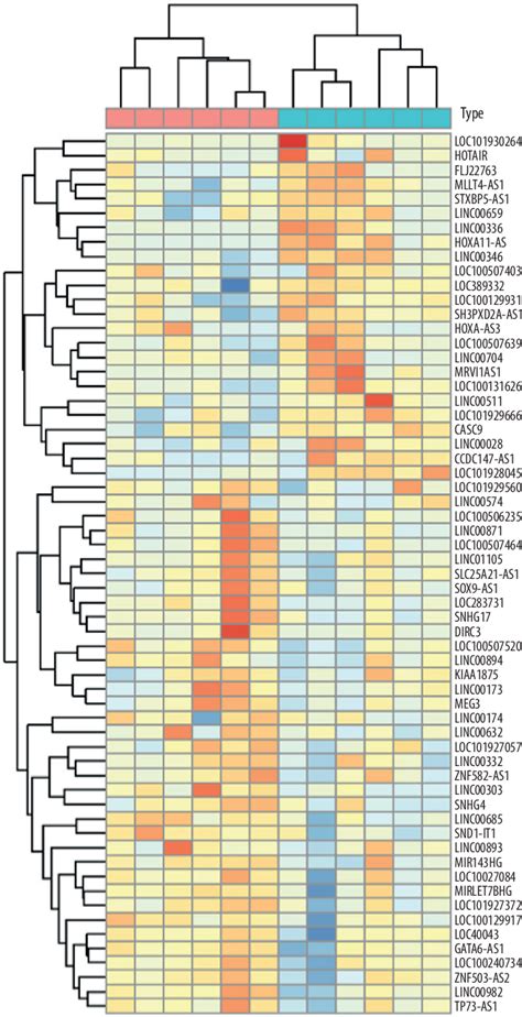 figure 1 from analysis of long non coding rna expression profile and