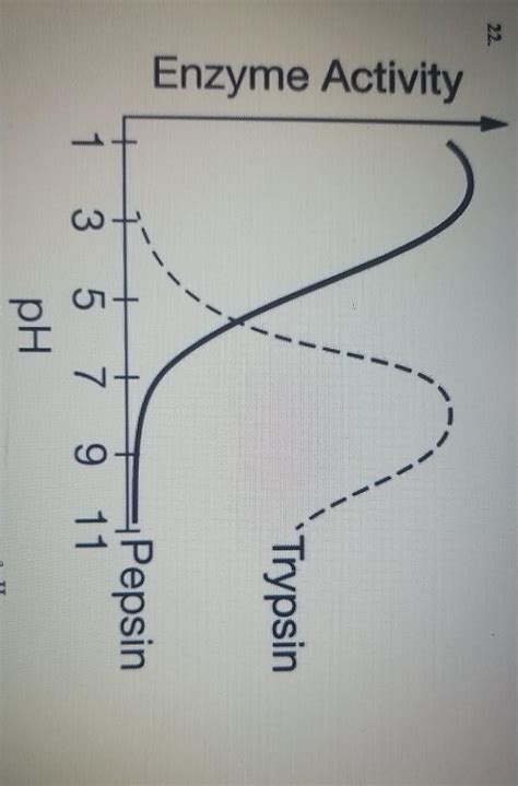 Trypsin Functions Best In Which Of The Following Conditions