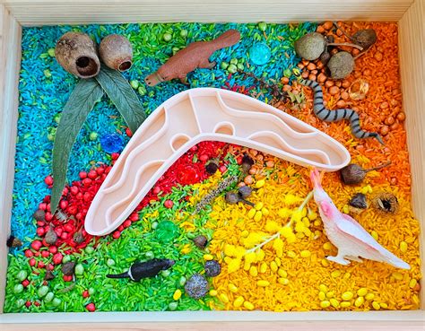 Aboriginal Sensory Play Kit Etsy Australia