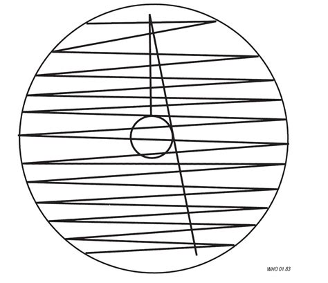 Inoculation Of Bacteria On Culture Plates