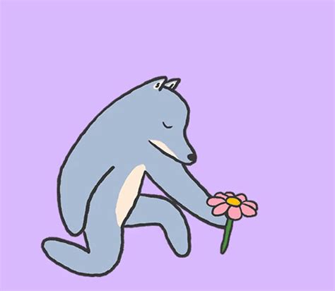Sweet Fox Clips Find And Share On Giphy