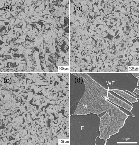 Microstructures And Martensite Distribution After Holding At 650 °c For