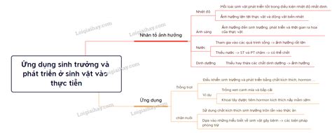 Lý thuyết ứng dụng sinh trưởng và phát triển ở sinh vật vào thực tiễn Khoa học tự nhiên Kết