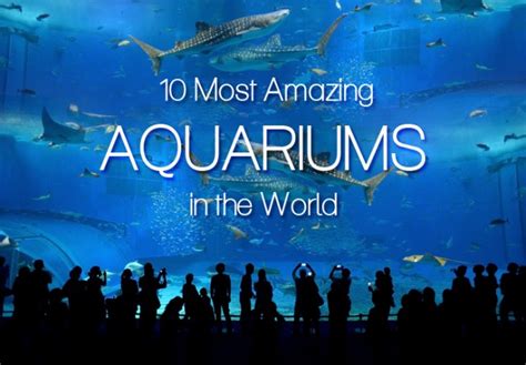 10 Most Amazing Aquariums In The World Around The World
