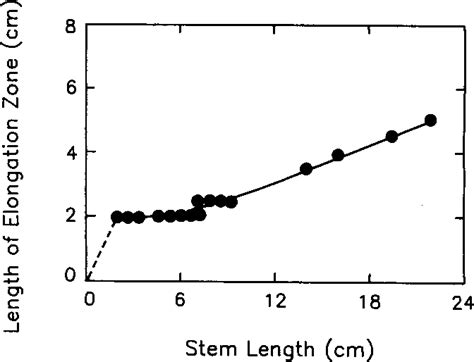 Figure 1 From Wall Extensibility And Cell Hydraulic Conductivity