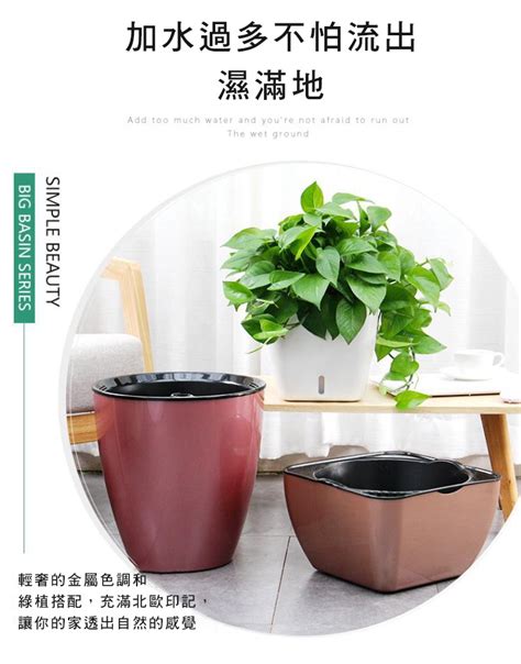 【費歐家】台灣現貨 免澆水 花盆 園藝植作 仿金屬 集水 吸水好養活 園藝植作懶人花盆 水窗設計 蝦皮購物