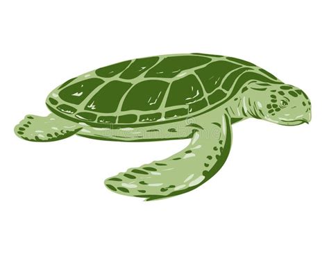 Side View Turtle Stock Illustrations 493 Side View Turtle Stock Illustrations Vectors