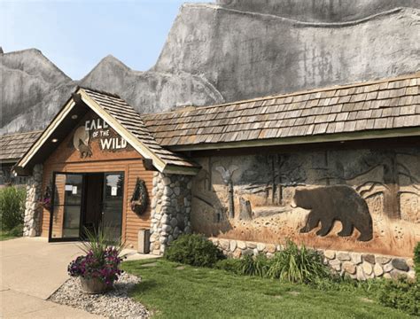 Go Wild In Northern Michigan