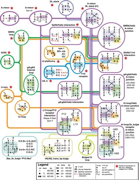 Structural Motif Network Associated To A Minor Junctions Described