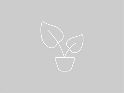 Möhre Oxhella Saatje