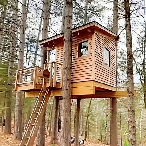Easy Simple Tree House Designs Quick And Easy Treehouse Platform