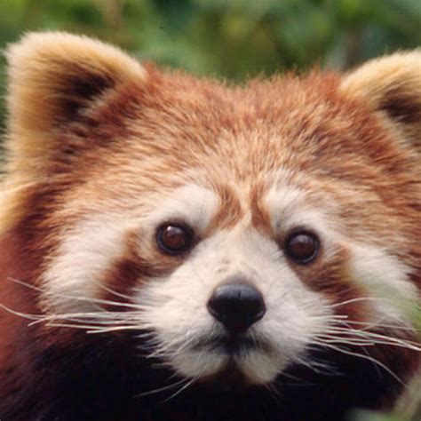 Julia Kessler Youtube