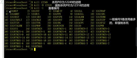进程相关命令 Topandpsandkill 03 除暖的专栏 Tnblog 进程相关命令 Topandpsandkill 03 除暖的专栏 Tnblog