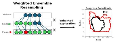 Weighted Ensemble Simulations Reveal Novel Conformations And Modulator