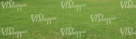 Free Regular Lawn Vishopper