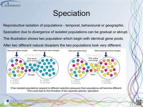Gene Pools And Speciation 103 Hl