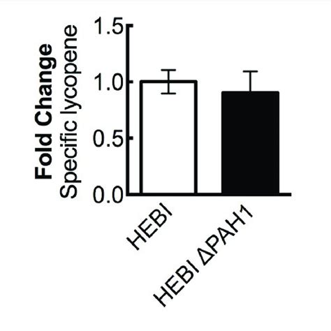 Engineering Lycopene Biosynthesis In Y Lipolytica A Schematic Of