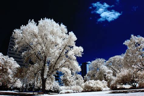 An Introduction To Infrared Ir Photography Discover Digital Photography