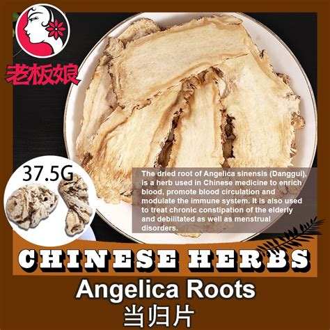 100 Sliced Angelica Roots Dang Gui Shopee Singapore