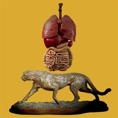 Stream Lil Ugly Mane Cut By Lil Ugly Mane Archive Listen Online For Free On Soundcloud