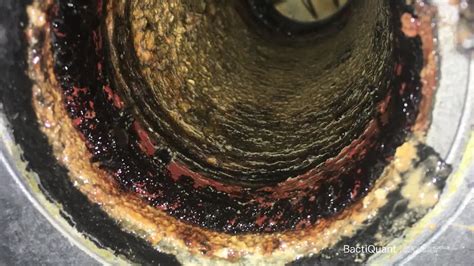 Bactiquant As On Linkedin Oilandgas Monitoring Bacteria Water