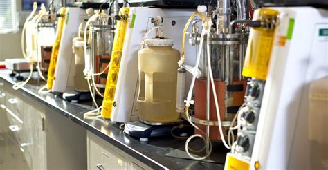 Exxonmobil And Reg Report Progress In Cellulosic Biodiesel Research