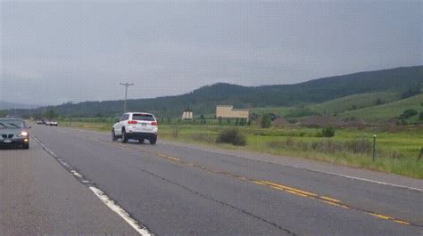 Flips S Find And Share On Giphy