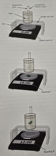 Gemology Foundation Flashcards Weight Density And Specific Gravity Flashcards Quizlet