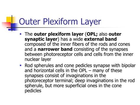 Ppt Retina Powerpoint Presentation Id 3364562