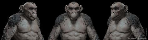 Troll Monkey On Behance