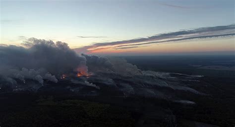 Divia Festival Do Rio