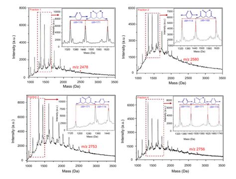 Carbon Dots Classification Properties Synthesis Characterization