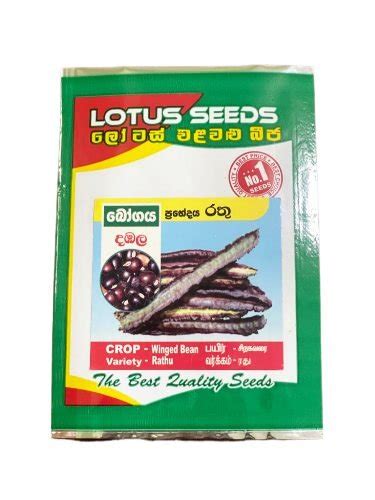 Wing Bean Red Lotus Enterprises