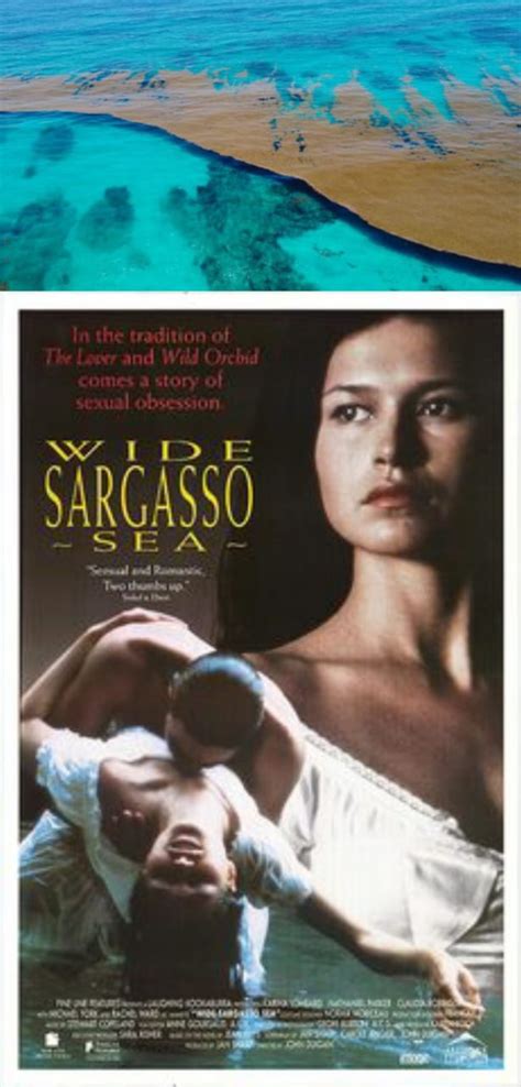 Aakash Chavda Wide Sargasso Sea By Jean Rhys