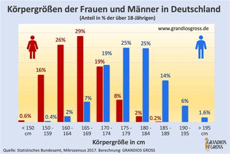Durchschnittsgröße Von Frauen Und Männer In Deutschland Und Wie Viele