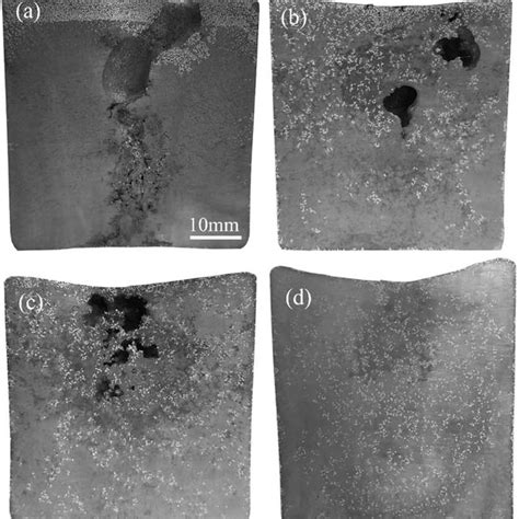 Solidification Microstructures With Dendrite And Primary Phase In The
