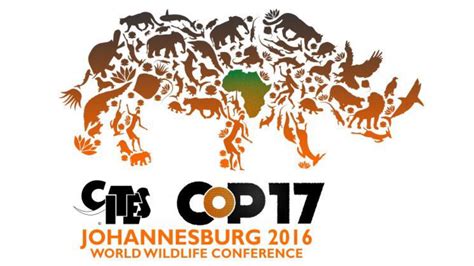Reflections Leading In To Cop17 Nature Needs More