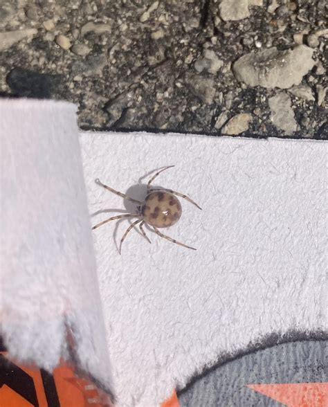 Blobby Boi Rfivenightsatfreddys