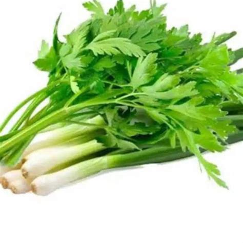 Jual Daun Bawang Pre Daun Sop 1 Ons Shopee Indonesia