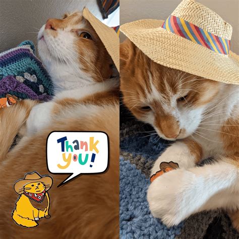 [thanks] For The Adorable Pin That Reminds Me Of Him 😻🤠💛 R Random