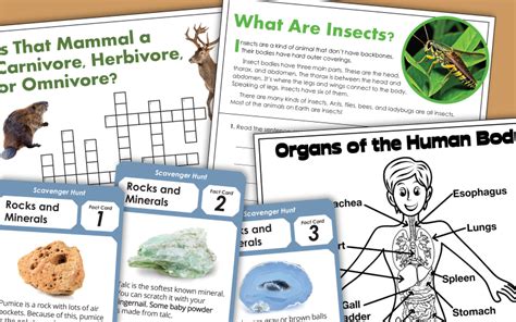 4th Grade Science Free Printable