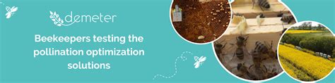Beekeepers Testing The Pollination Optimization Solutions Demeter