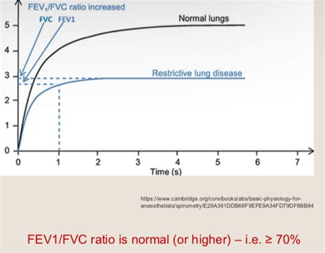 Lecture 42 Respiration Lung Function Testing Flashcards Quizlet