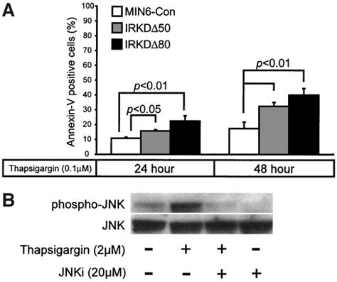 Insulinigf Signaling Pathways Modulate Er Stressinduced Apoptosis In