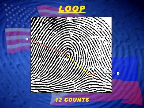 Fingerprint Classification Slide 1 Ppt Science