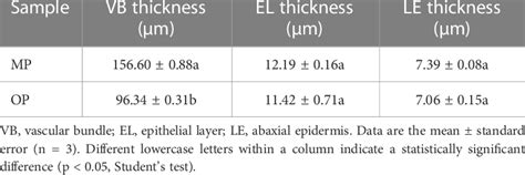 Leaf Anatomical Characters Of The Mutant Mp And Wild Type Op