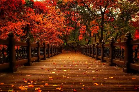 November Nature Wallpapers Top Free November Nature Backgrounds