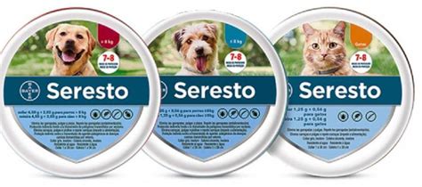 Cómo Administrar Procox A Los Gatos Y Cuál Es Su Utilidad