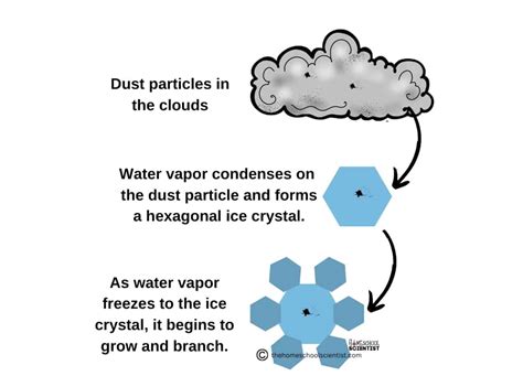 Snowflake Explained The Modern Data Warehouse Revolution
