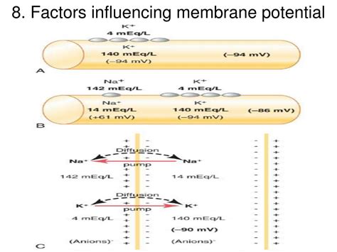 Ppt 1 Distribution In Ecf Vs Icf Powerpoint Presentation Free